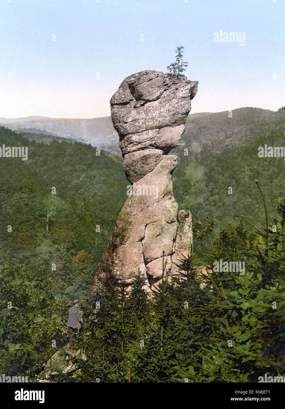 Entenschnabel High Resolution Stock Photography and Images - Alamy