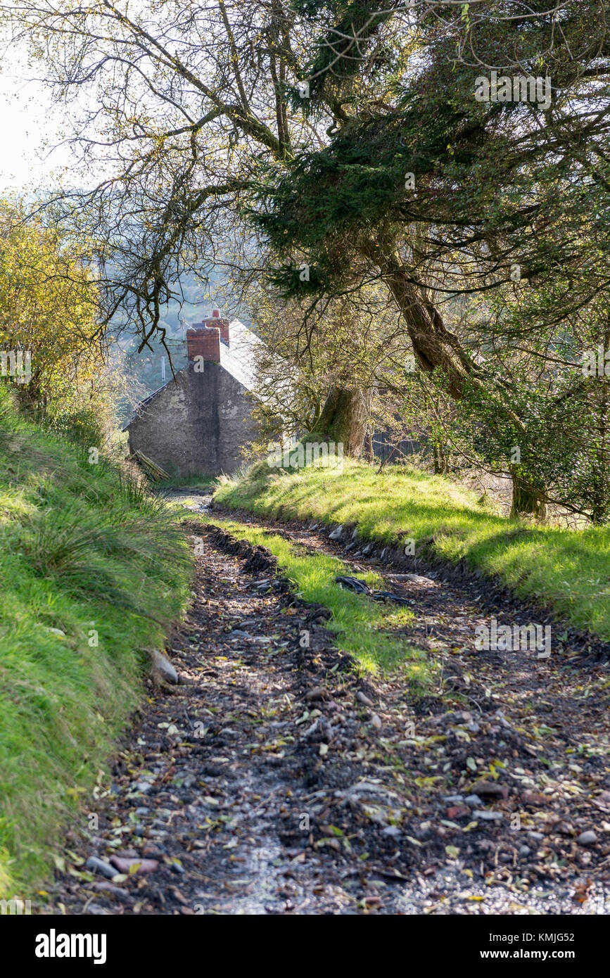 Landscape including old barn, Llanwrtyd Wells, Powys, Wales. UK Stock ...