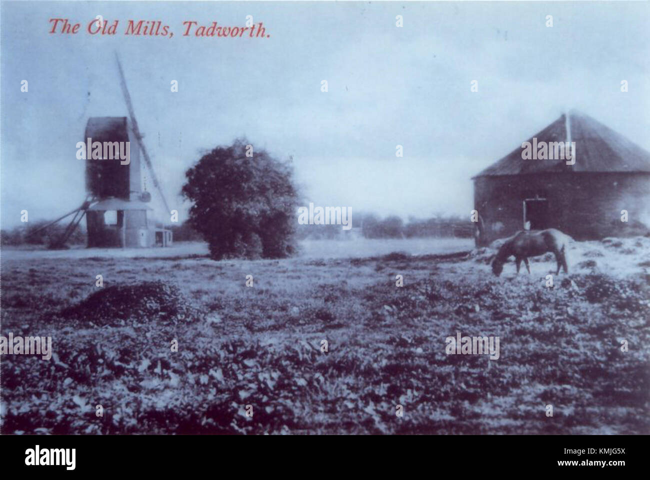 Tadworth Mills is a historic site known for its water mill and role in ...