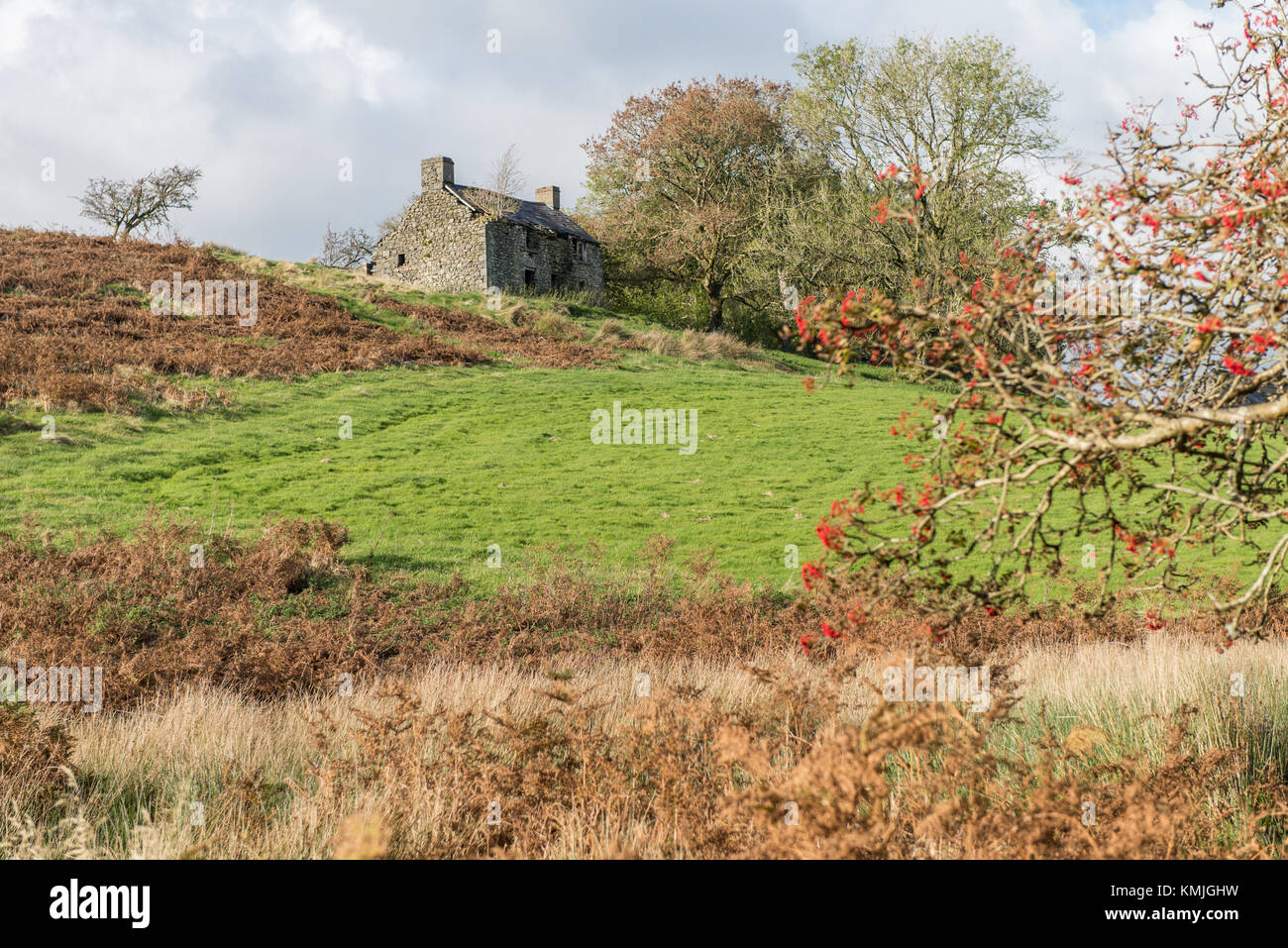 Landscape including old barn, Llanwrtyd Wells, Powys, Wales. UK Stock ...