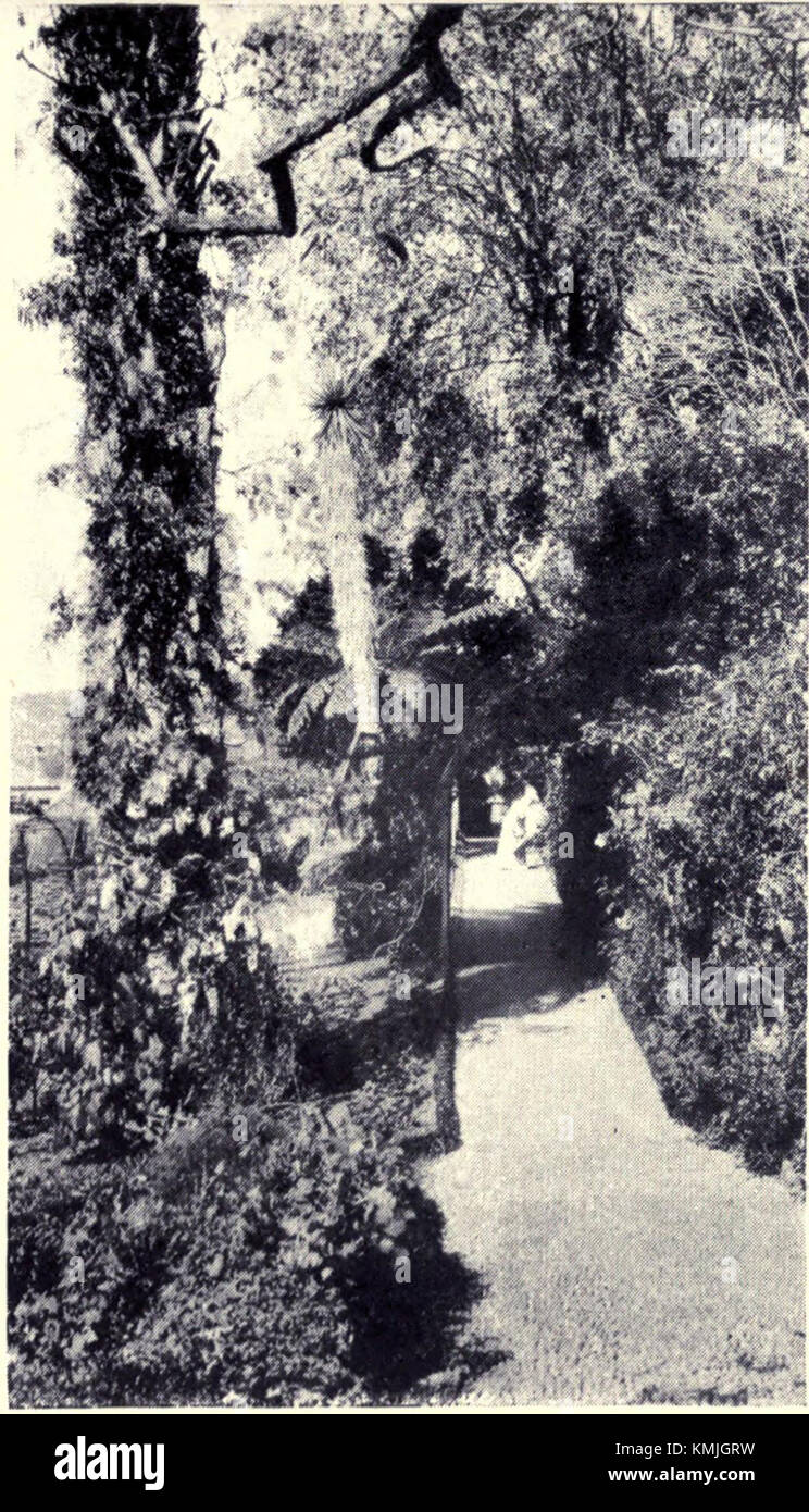 The Madeira Garden Party of 1909, held in Monaco (MON), was a social ...