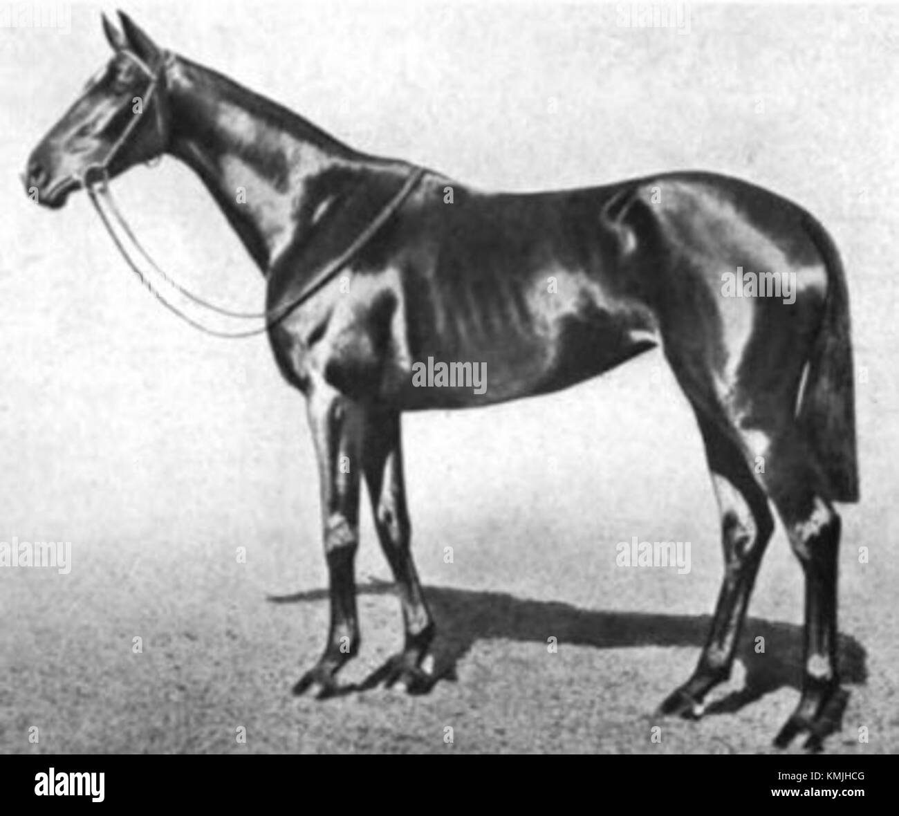 Idleness Black and White Stock Photos & Images - Alamy