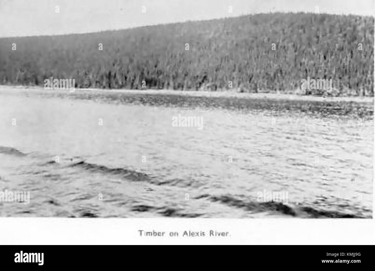 Simpson timber company hi-res stock photography and images - Alamy