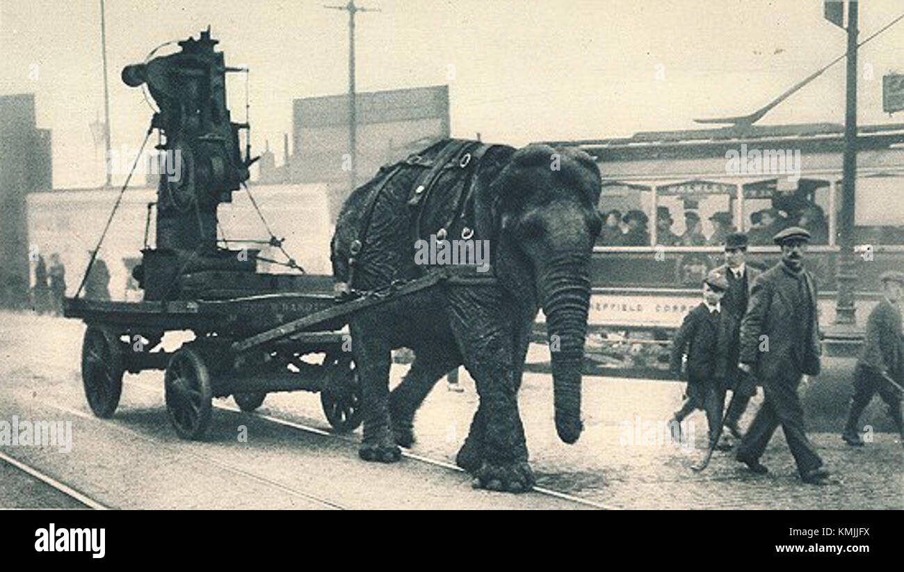 Ww1 military logistics hi-res stock photography and images - Alamy