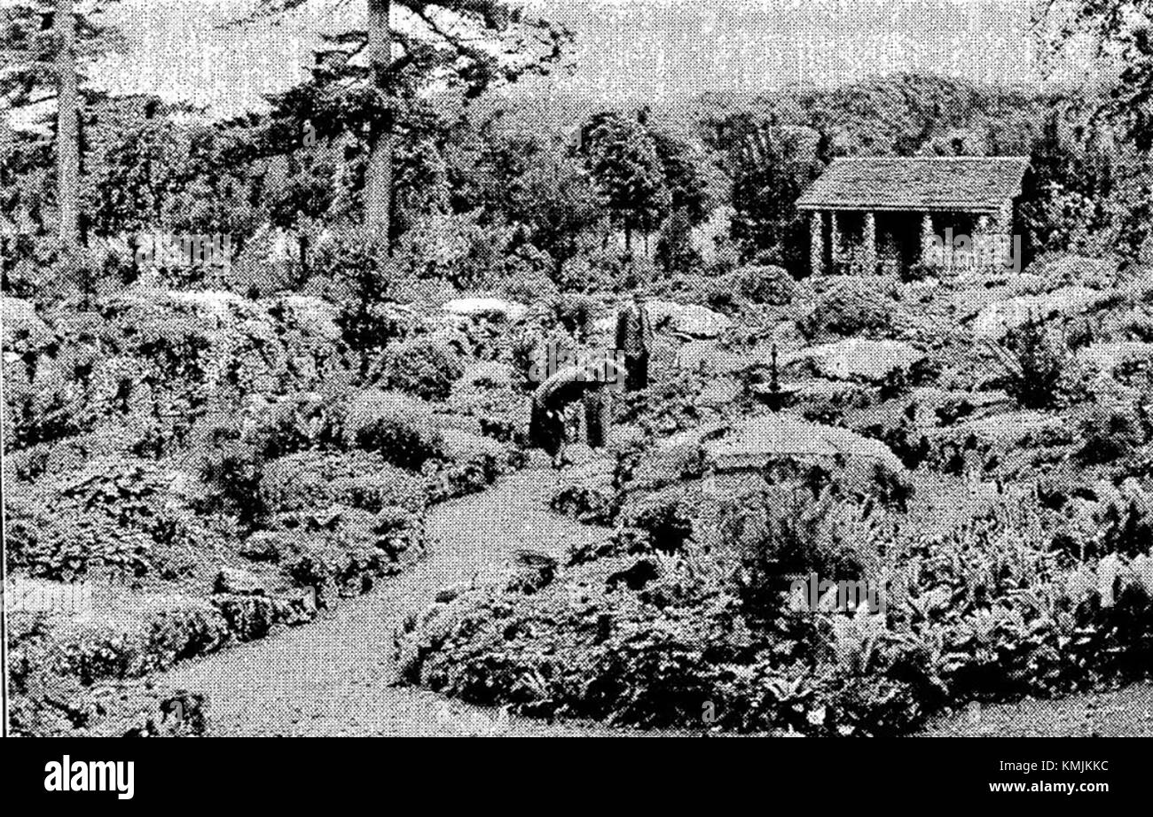 The Quarry Alpine Garden at Lowther Castle, created in 1937, features a ...
