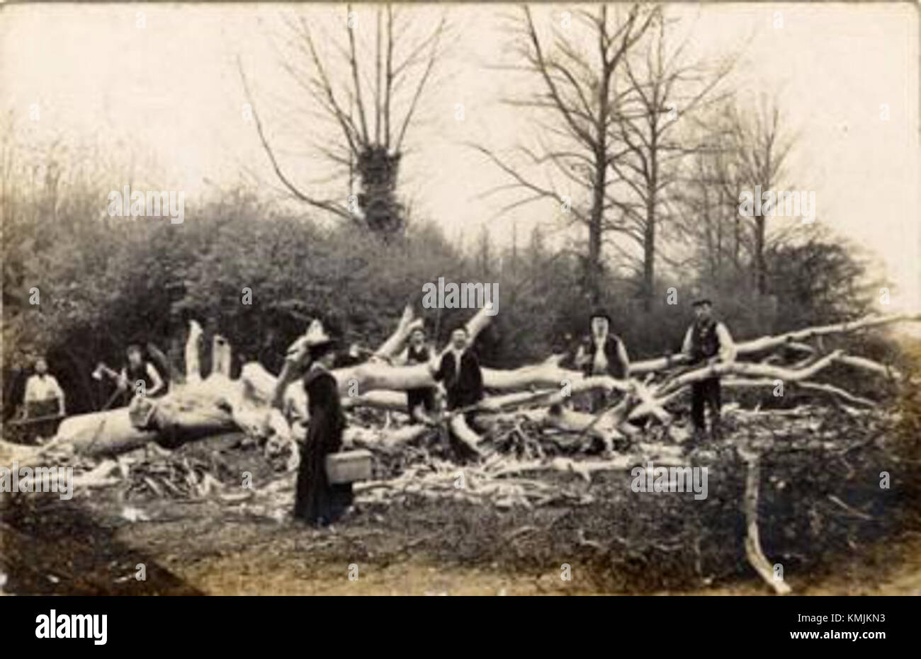 The Odell Great Wood historic photograph captures a moment in the ...
