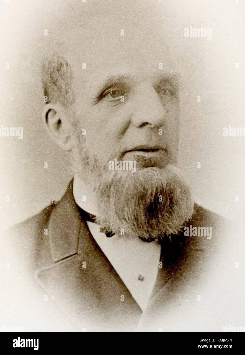 Charles Harrison Blackley Stock Photo - Alamy