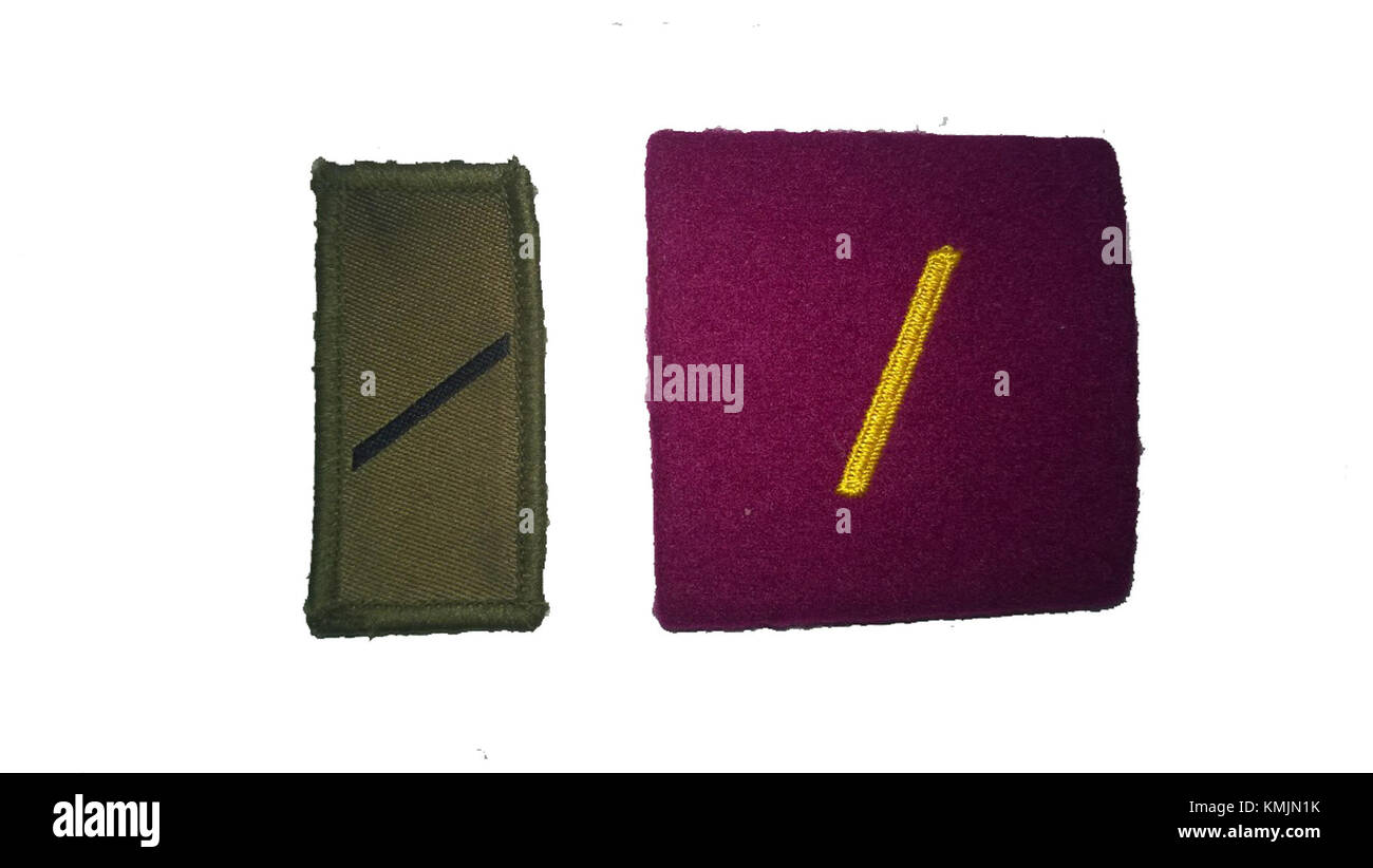 Swiss Army rank insignias represent the hierarchical structure within ...