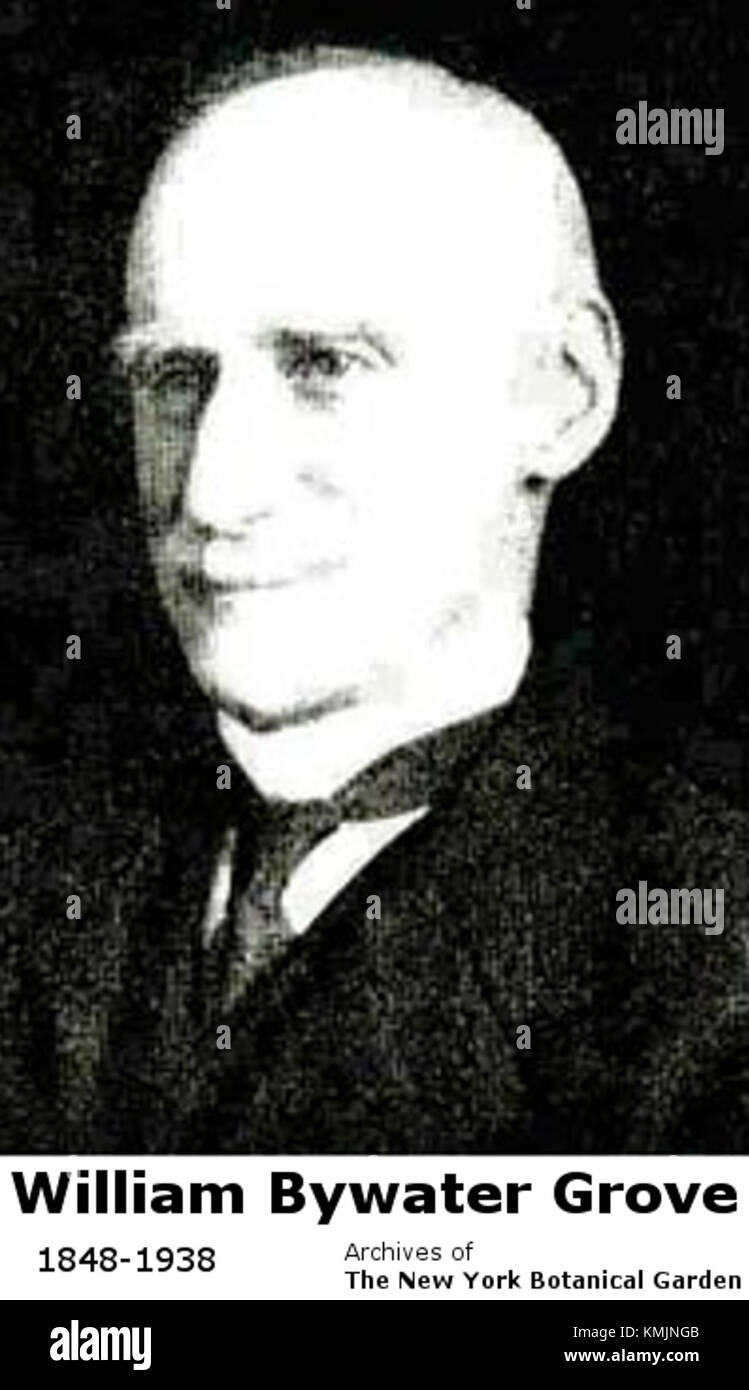 William Grove Stock Photos & William Grove Stock Images - Alamy