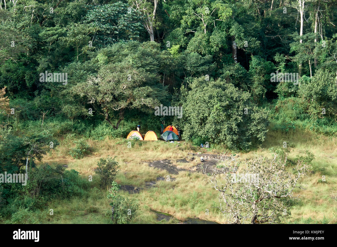 Research expedition camp in the rainforest Stock Photo - Alamy