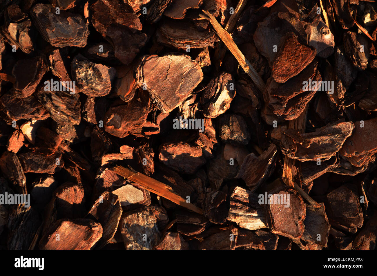 Close up of pine bark on floor of childrens play area for safety Stock ...