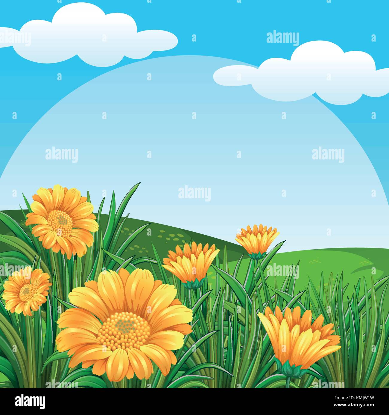 Yellow field of flowers Stock Vector Images - Alamy