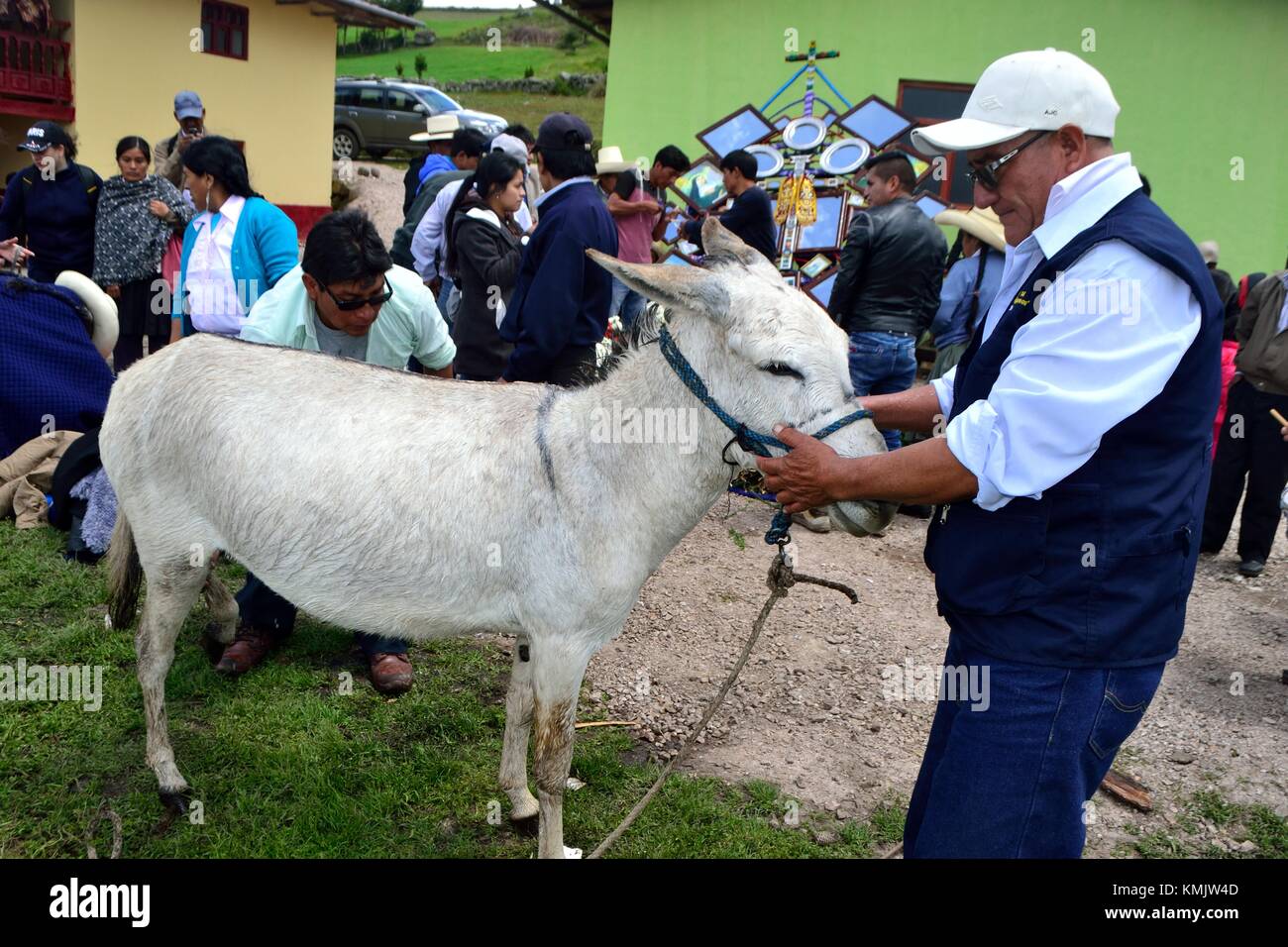 Washing donkey - LAS CRUCES de PORCON BAJO - Palm Sunday in CAJAMARCA ...