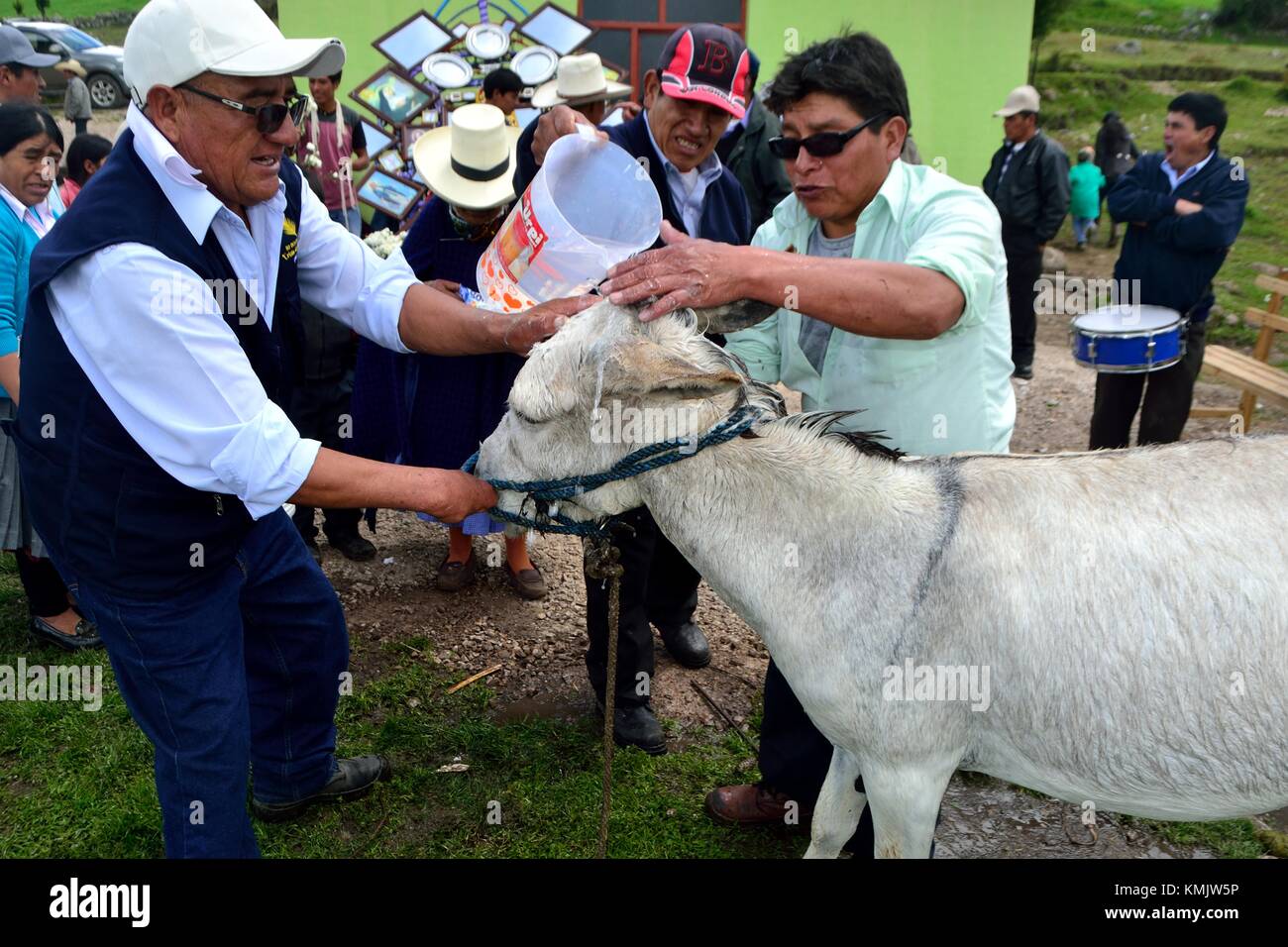 Washing donkey - LAS CRUCES de PORCON BAJO - Palm Sunday in CAJAMARCA ...