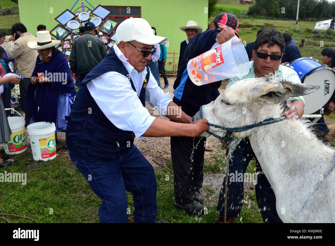 Washing donkey - LAS CRUCES de PORCON BAJO - Palm Sunday in CAJAMARCA ...