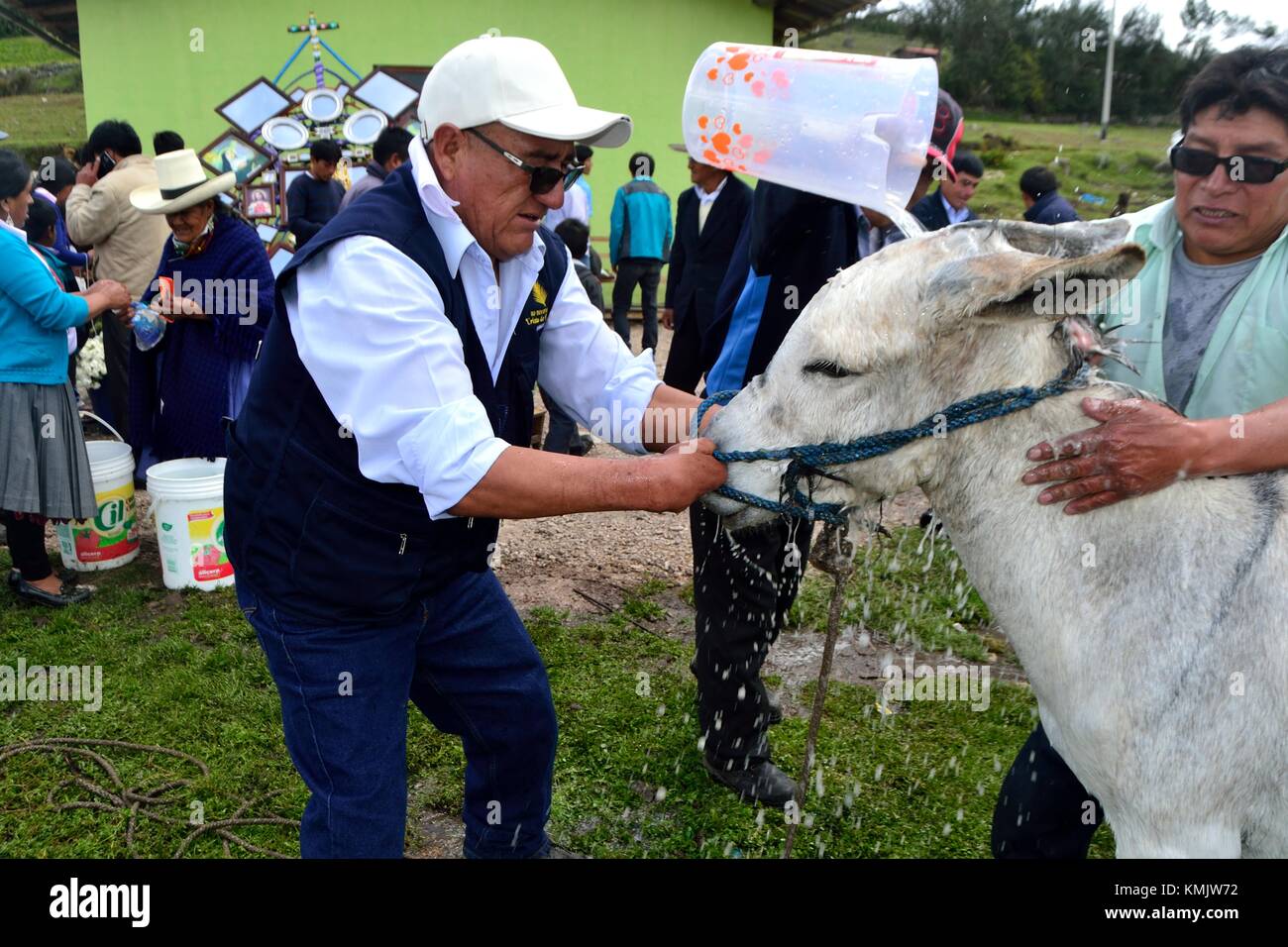 Washing donkey - LAS CRUCES de PORCON BAJO - Palm Sunday in CAJAMARCA ...