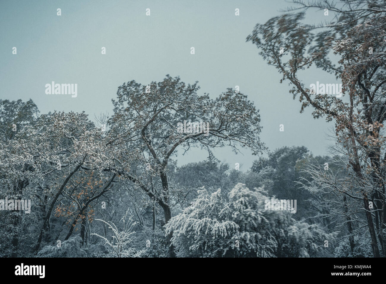 Bryan, Texas Snow Stock Photo - Alamy