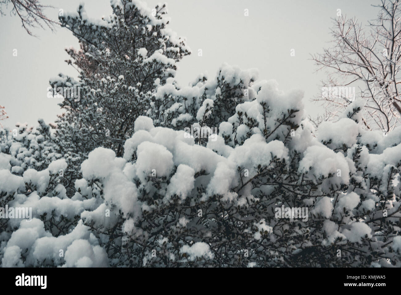Bryan, Texas Snow Stock Photo - Alamy