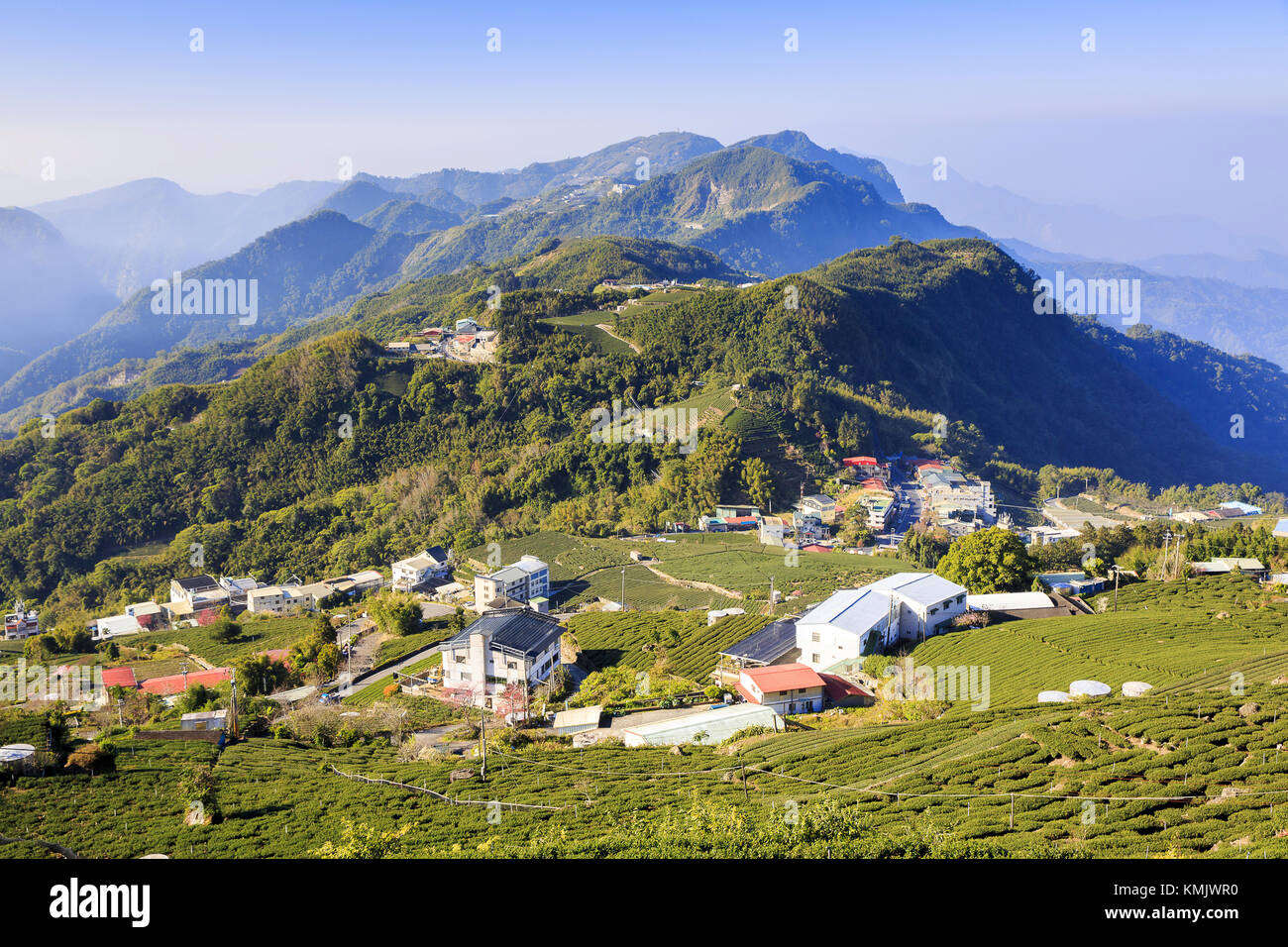 Ali Mountain Tea High Resolution Stock Photography and Images - Alamy