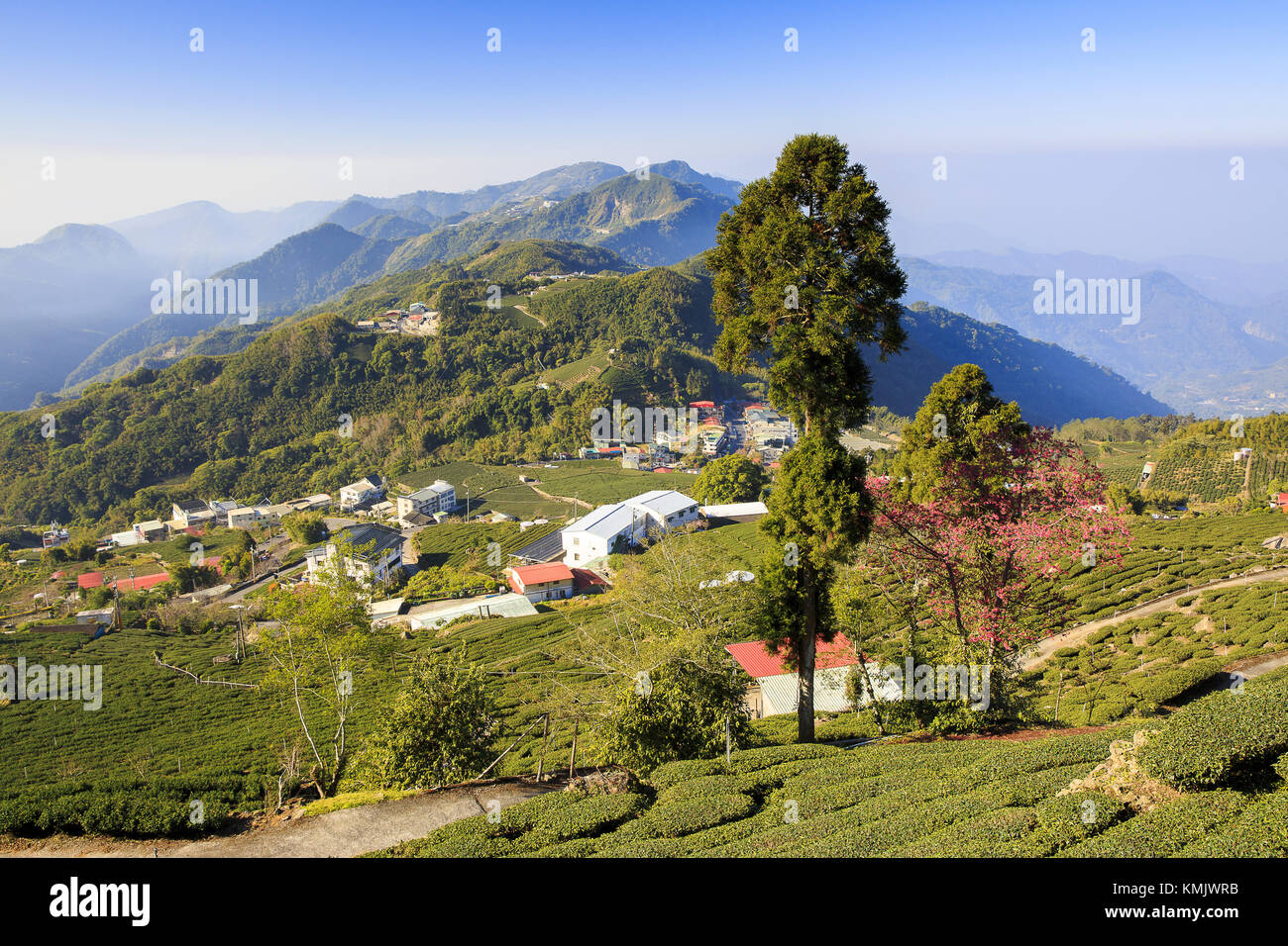 beauty in Taiwan Stock Photo - Alamy