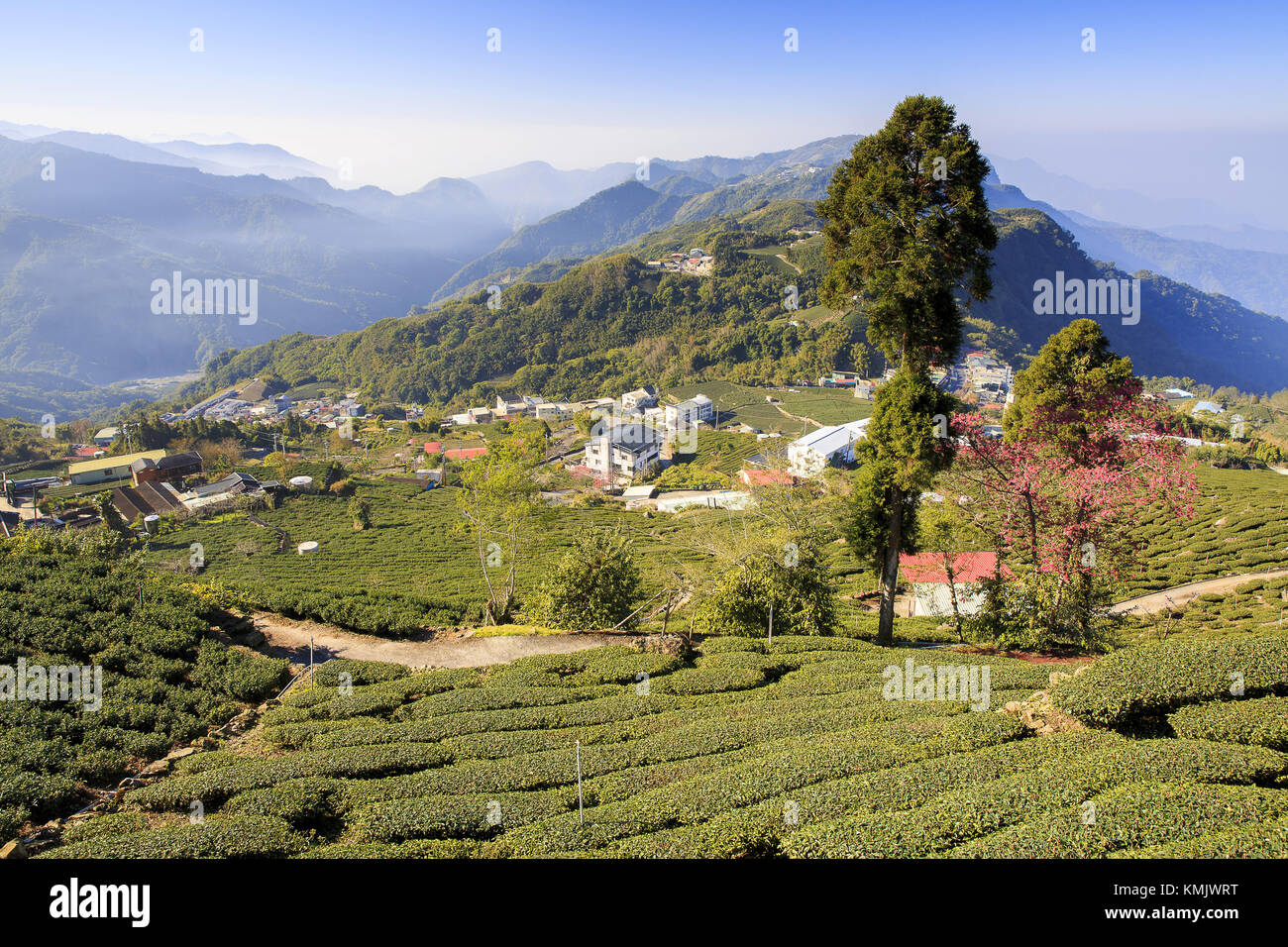 beauty in Taiwan Stock Photo - Alamy