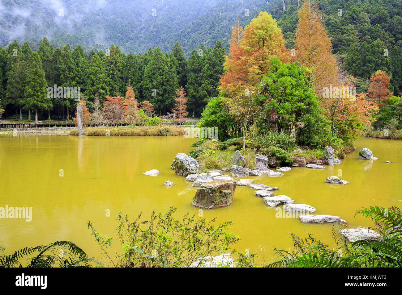 beauty in Taiwan Stock Photo - Alamy