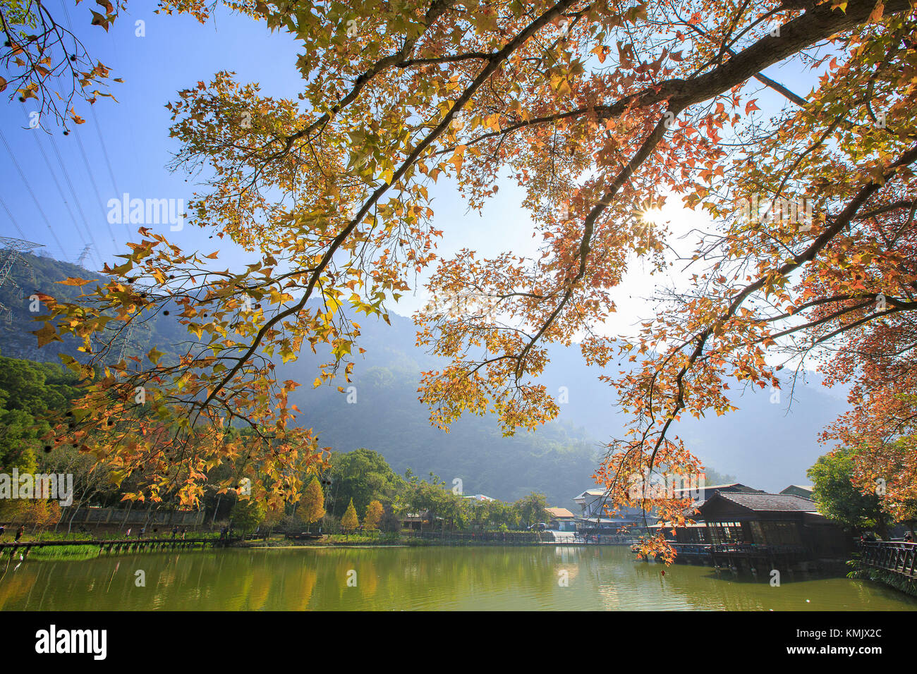 beauty in Taiwan Stock Photo - Alamy