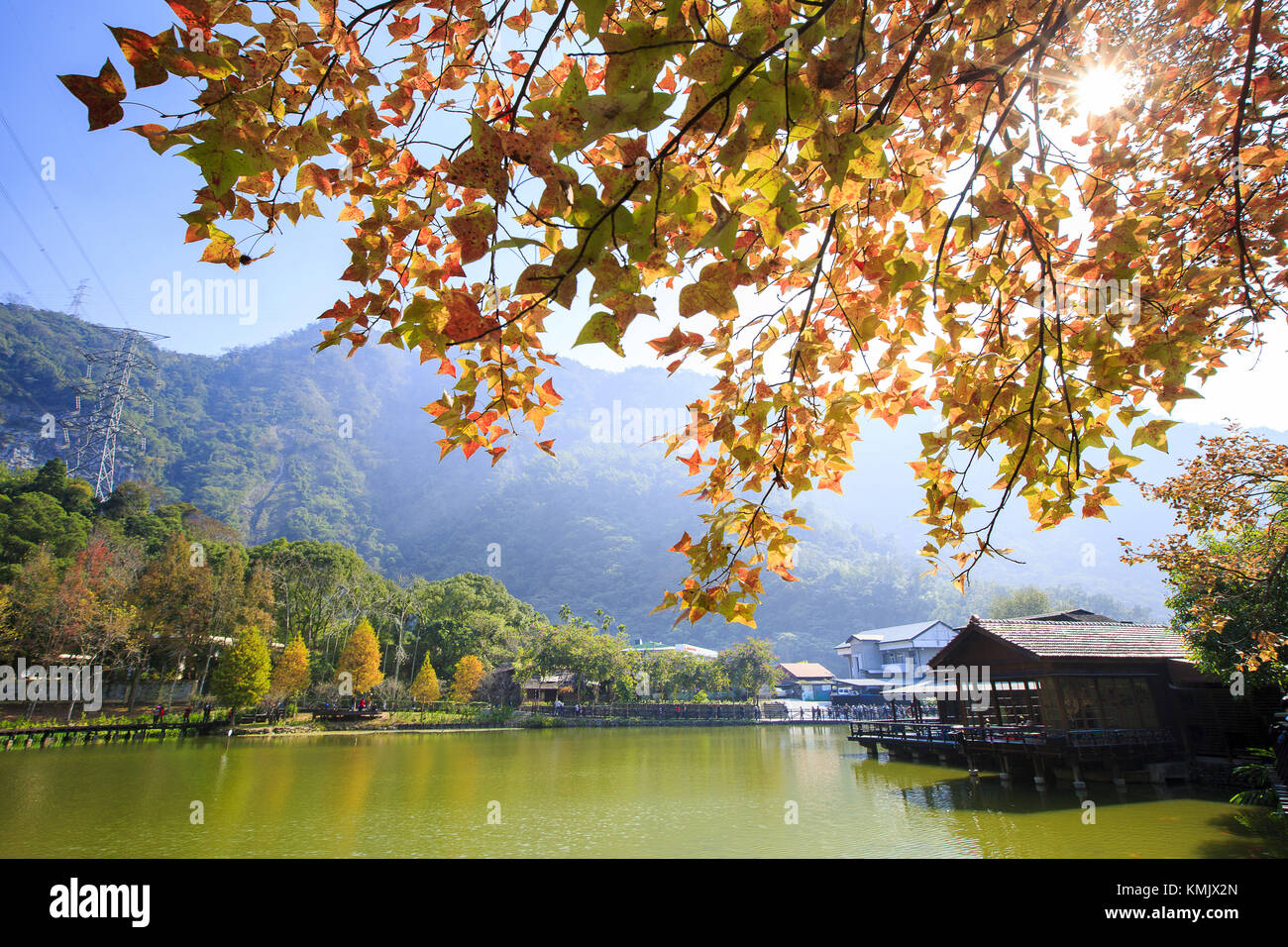 beauty in Taiwan Stock Photo - Alamy