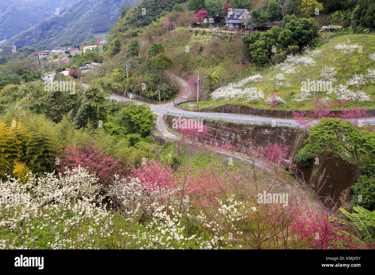 beauty in Taiwan Stock Photo - Alamy