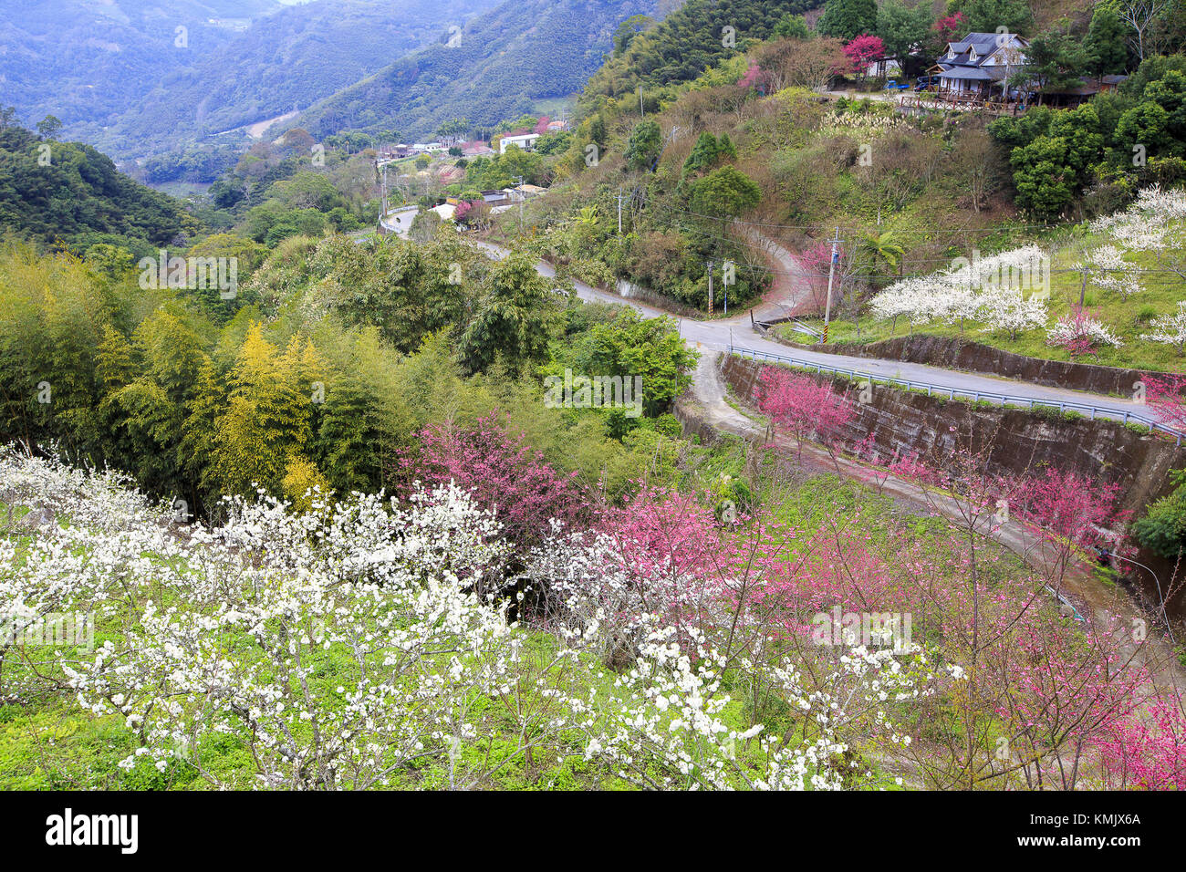 beauty in Taiwan Stock Photo - Alamy