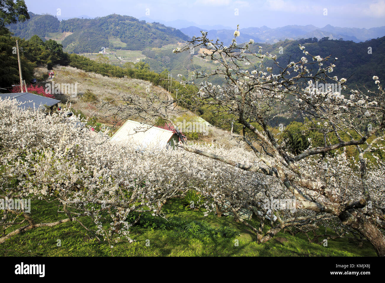 beauty in Taiwan Stock Photo - Alamy