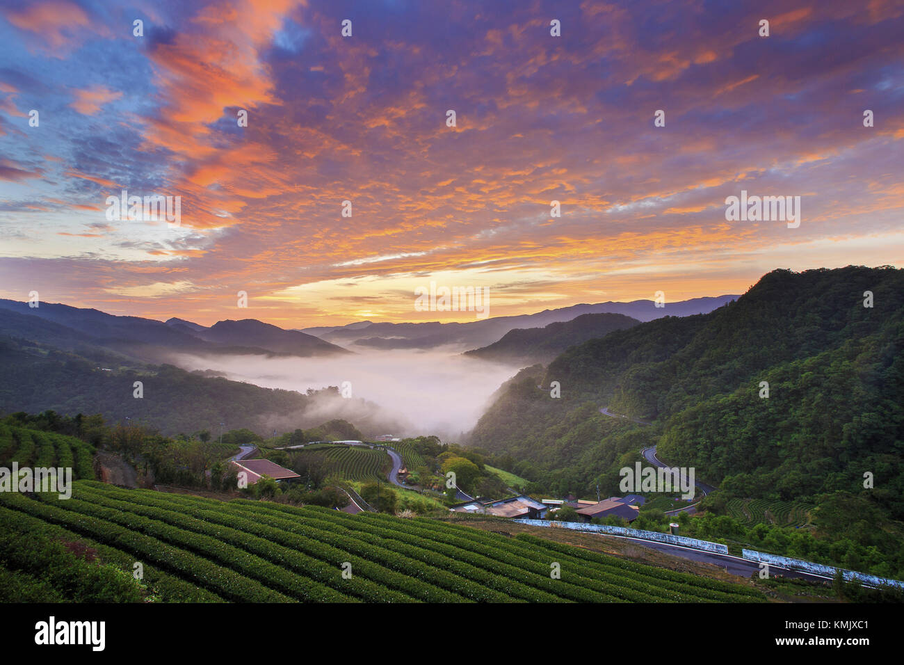 beauty in Taiwan Stock Photo - Alamy
