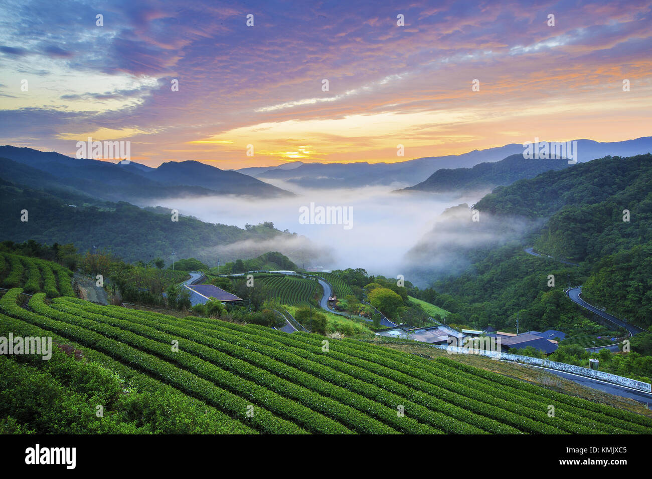 beauty in Taiwan Stock Photo - Alamy