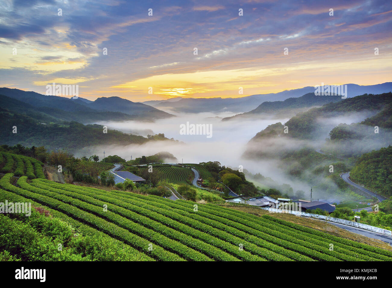 beauty in Taiwan Stock Photo - Alamy