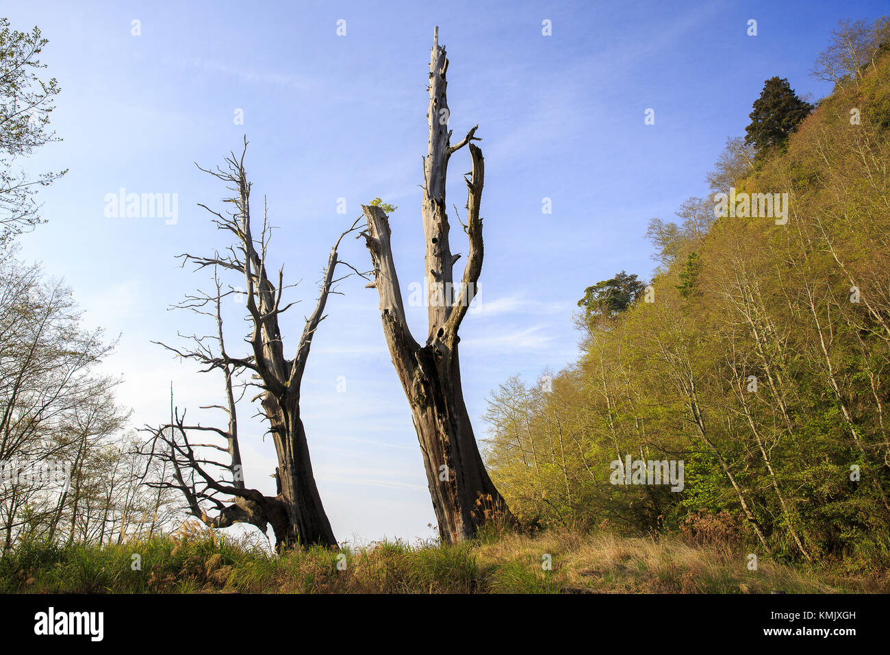 Tataka hi-res stock photography and images - Alamy