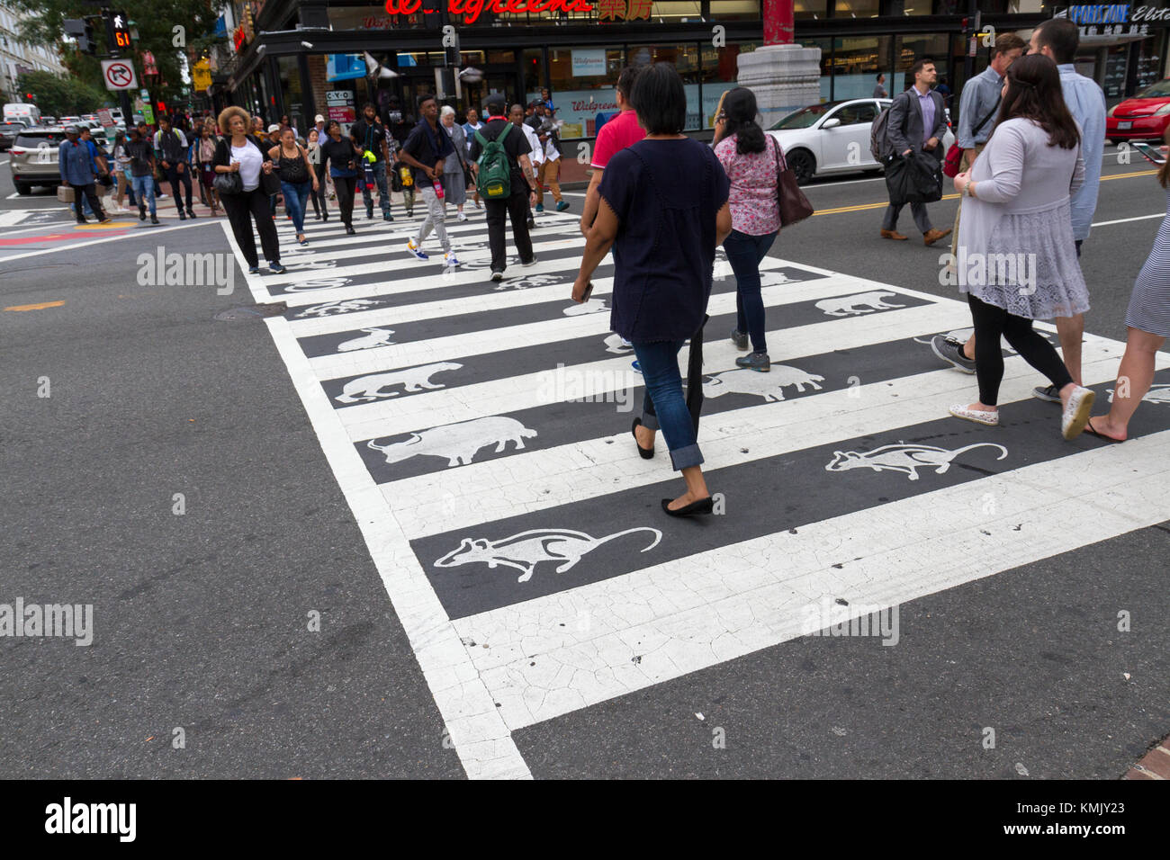 Diagonal pedestrian crossing hi-res stock photography and images - Alamy