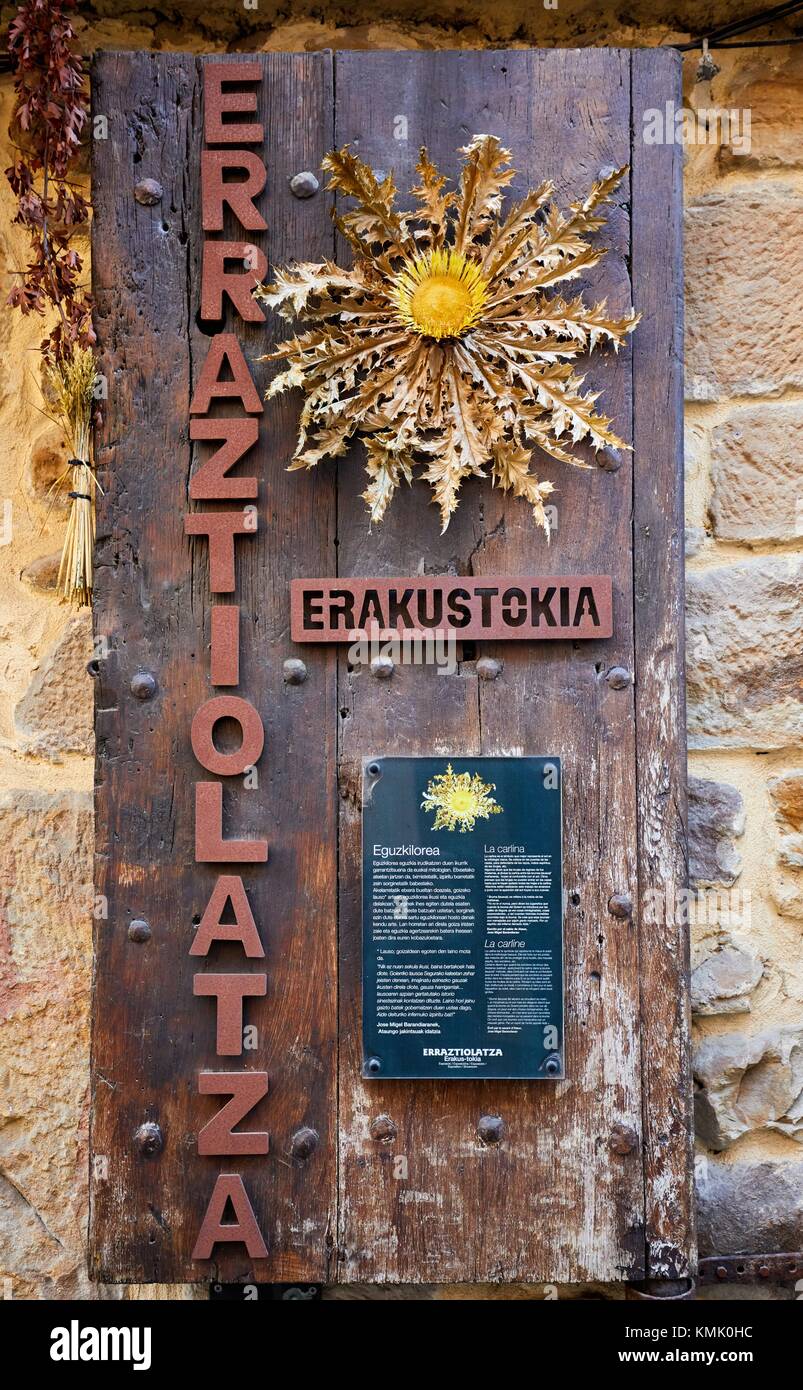 Eguzkilorea, Sunflower, Medieval town, Segura, Gipuzkoa, Basque Country ...