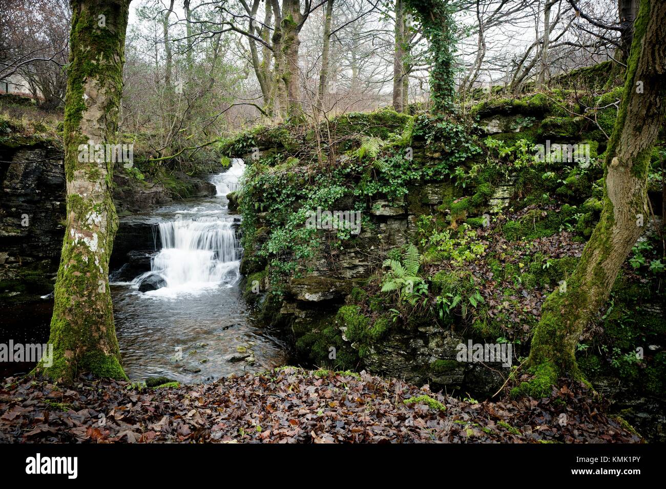 Wharfe River High Resolution Stock Photography and Images - Alamy