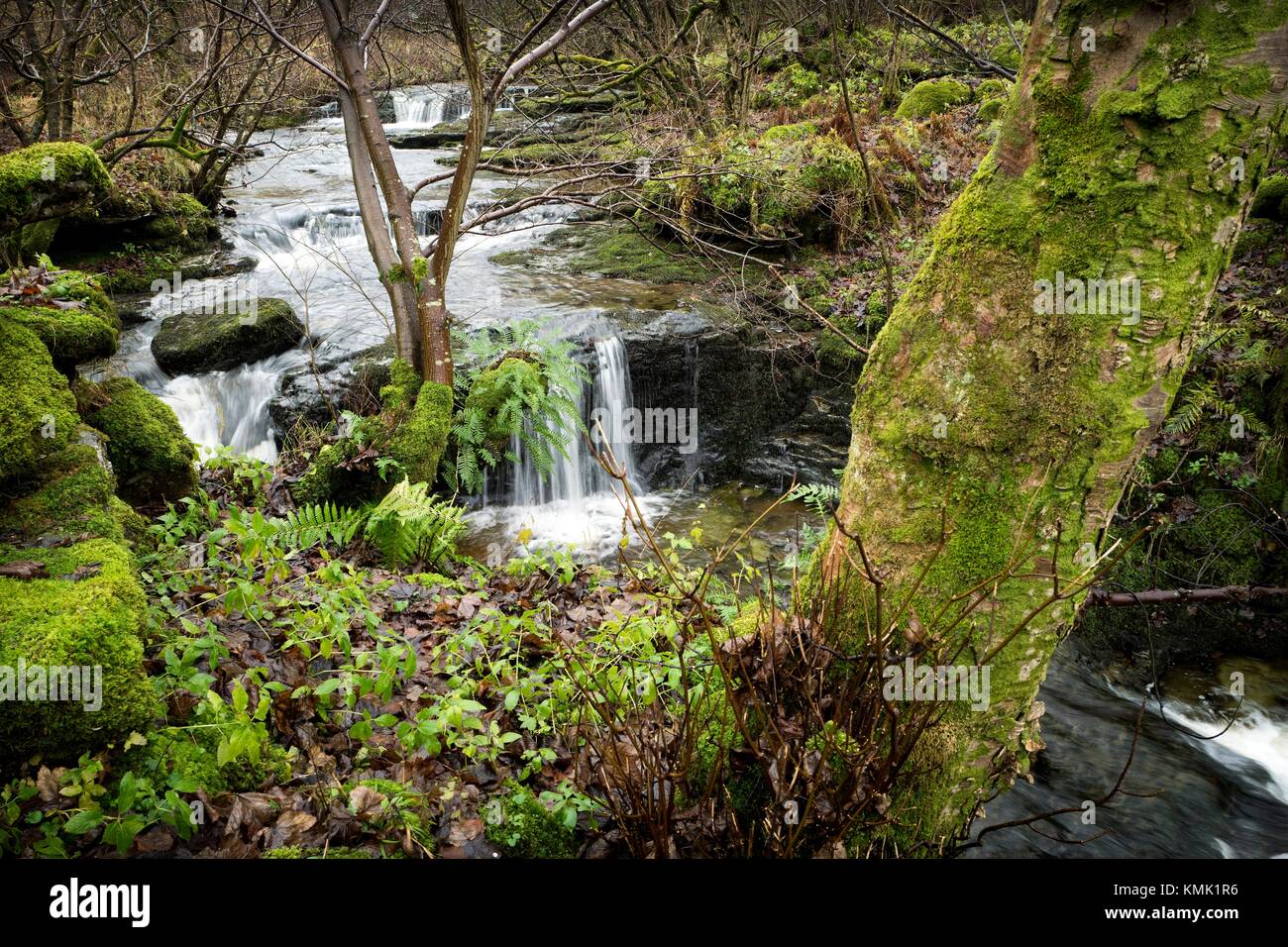 Wharfe River High Resolution Stock Photography and Images - Alamy