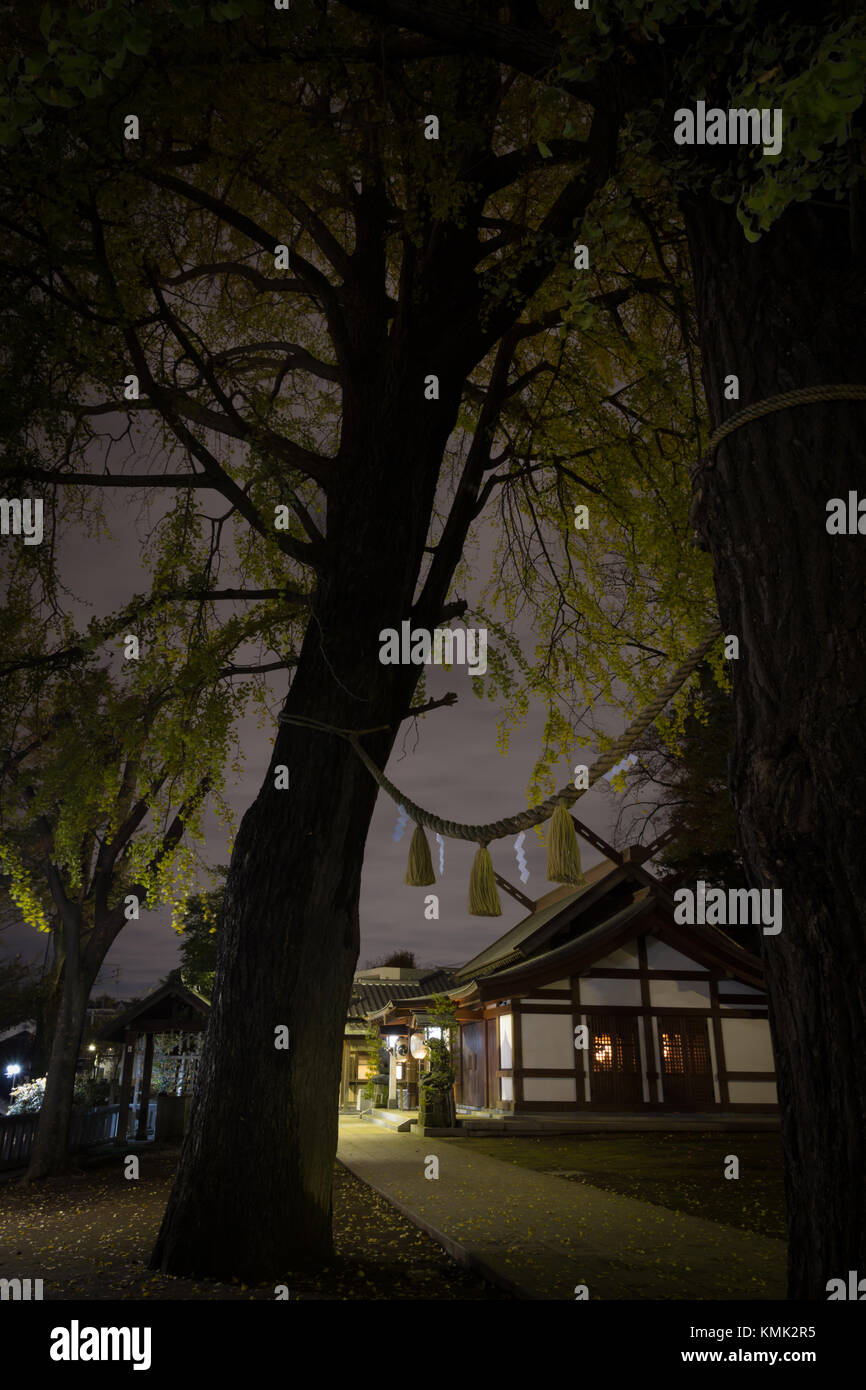 Japanese shrine at night Stock Photo - Alamy