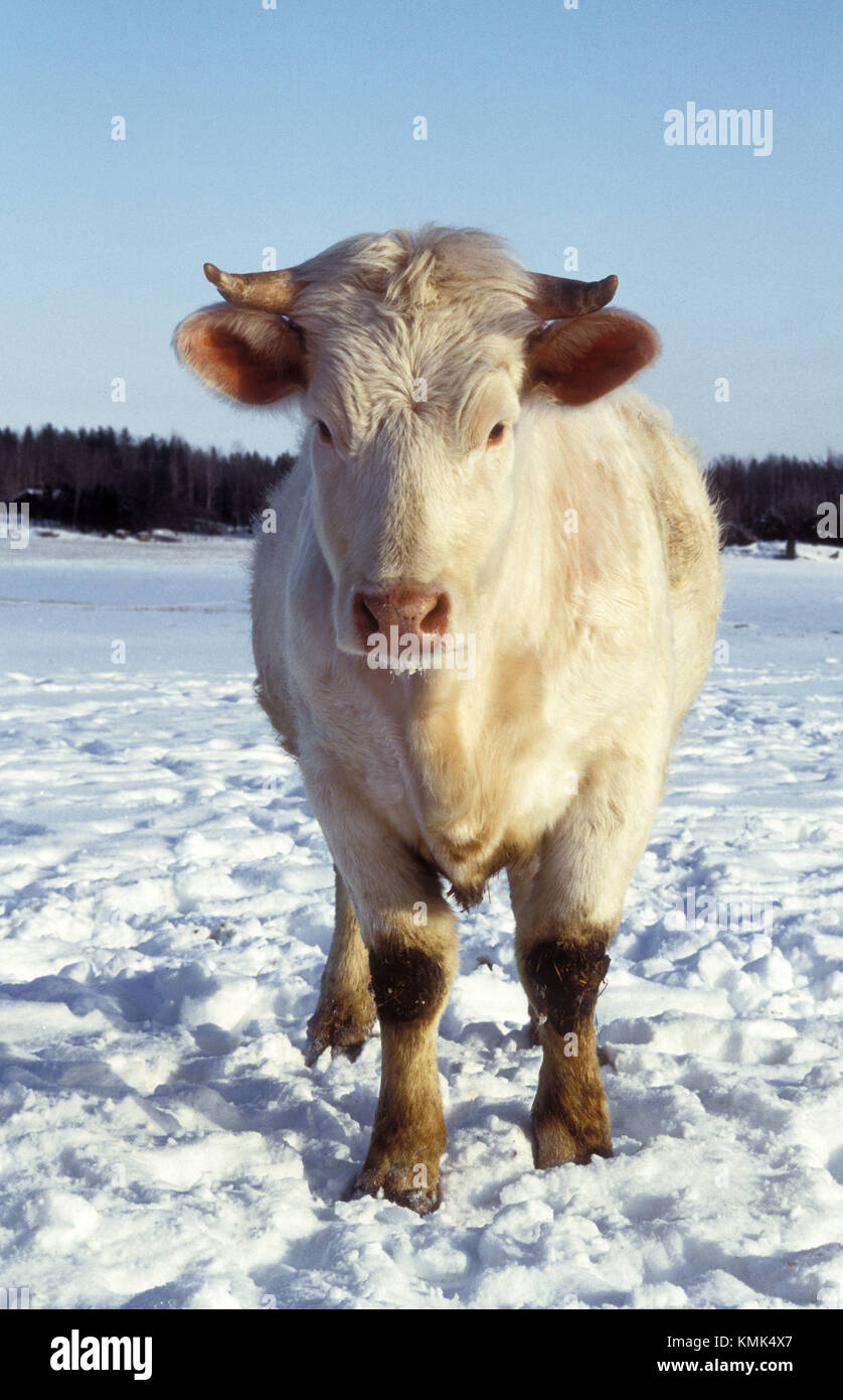 Ecofarm hi-res stock photography and images - Alamy