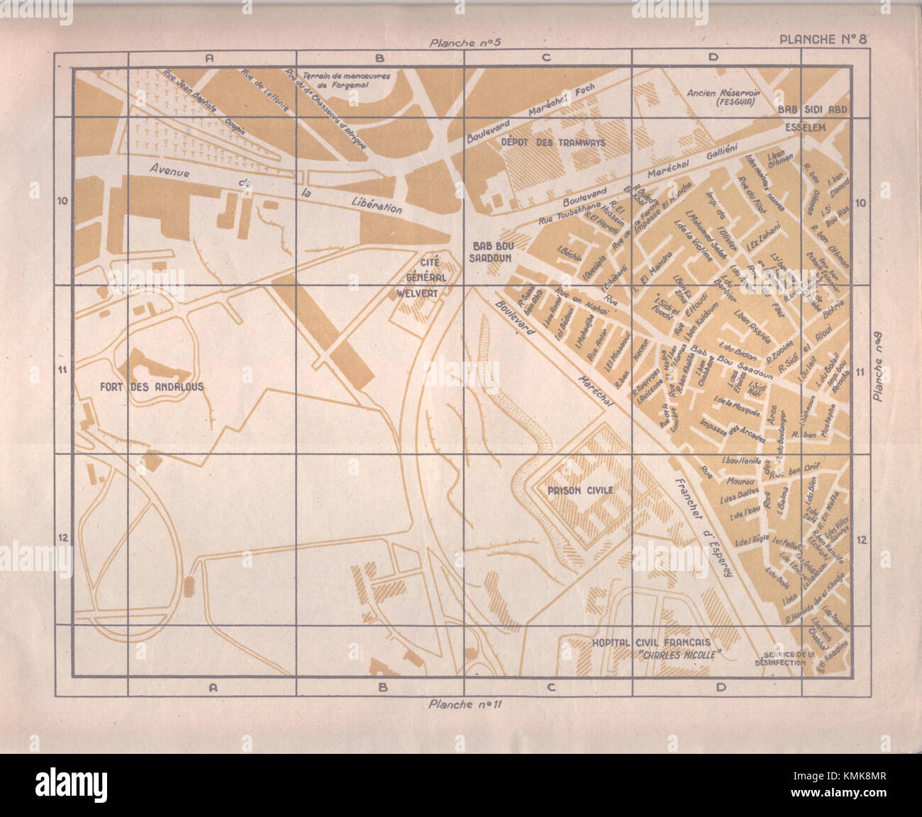 Series of detailed scientific diagrams hi-res stock photography and ...