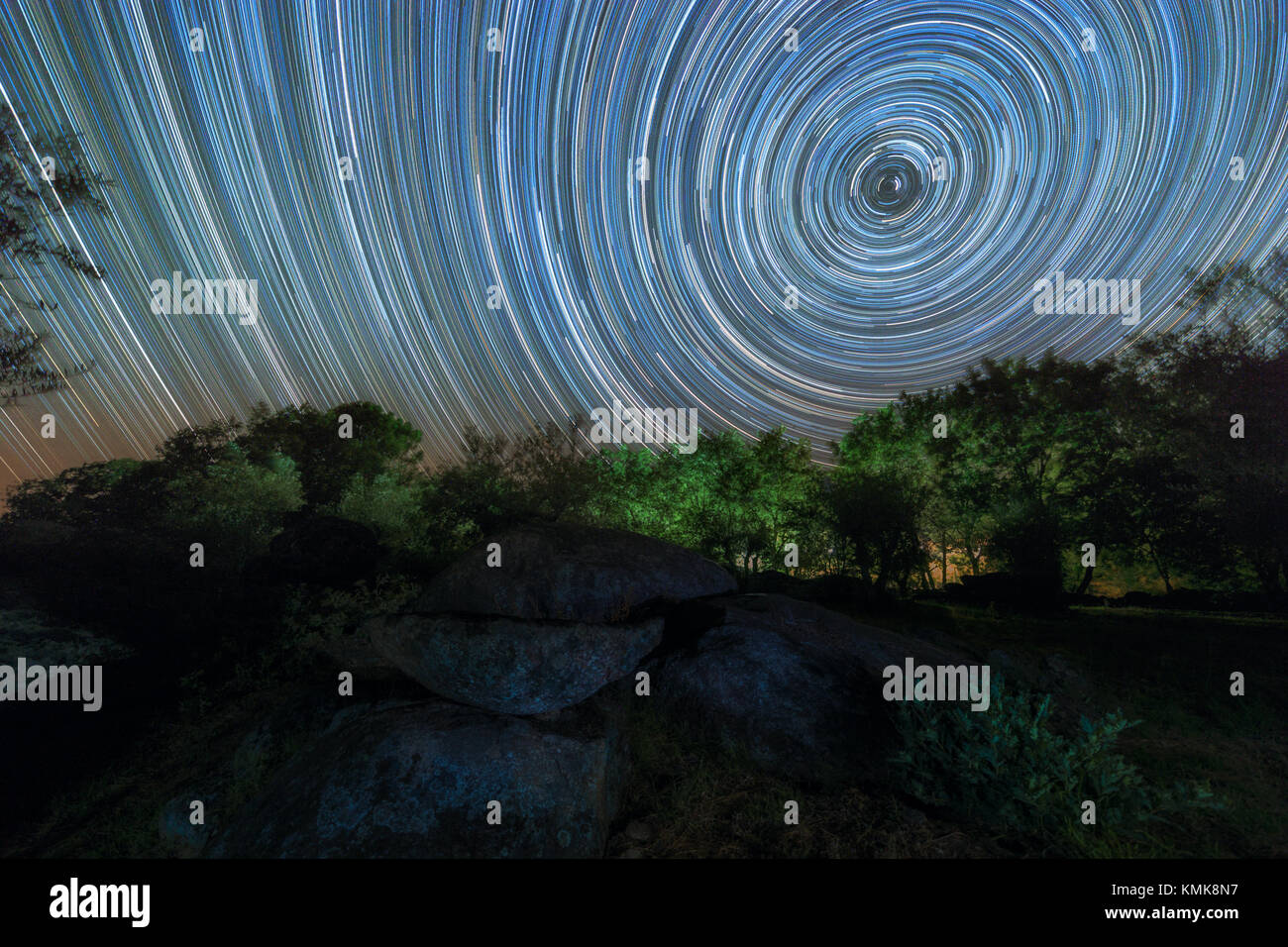 Circumpolar Forest High Resolution Stock Photography and Images - Alamy