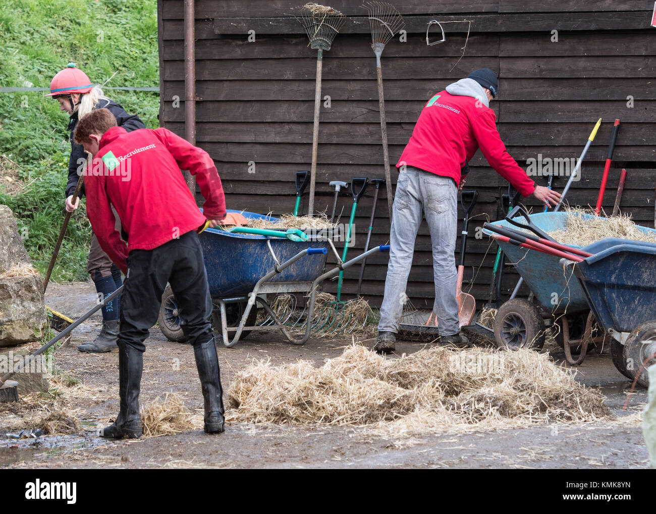 Mucking out horse stable hi-res stock photography and images - Alamy