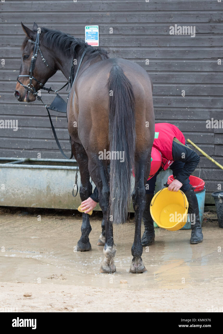 National hunt yard hi-res stock photography and images - Alamy