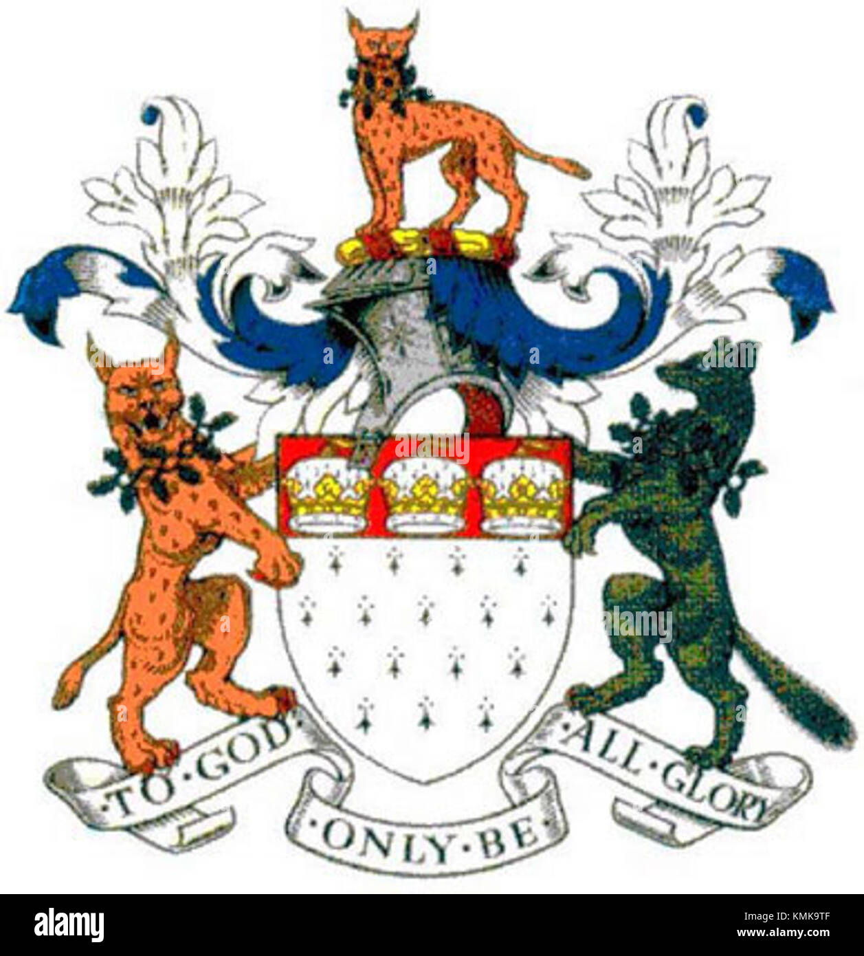The Skinners' School logo represents the school's long history and ...