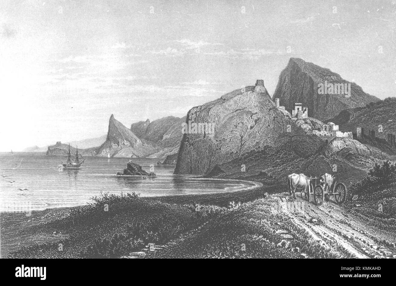 This engraving by Berndt showcases intricate details and precise lines ...