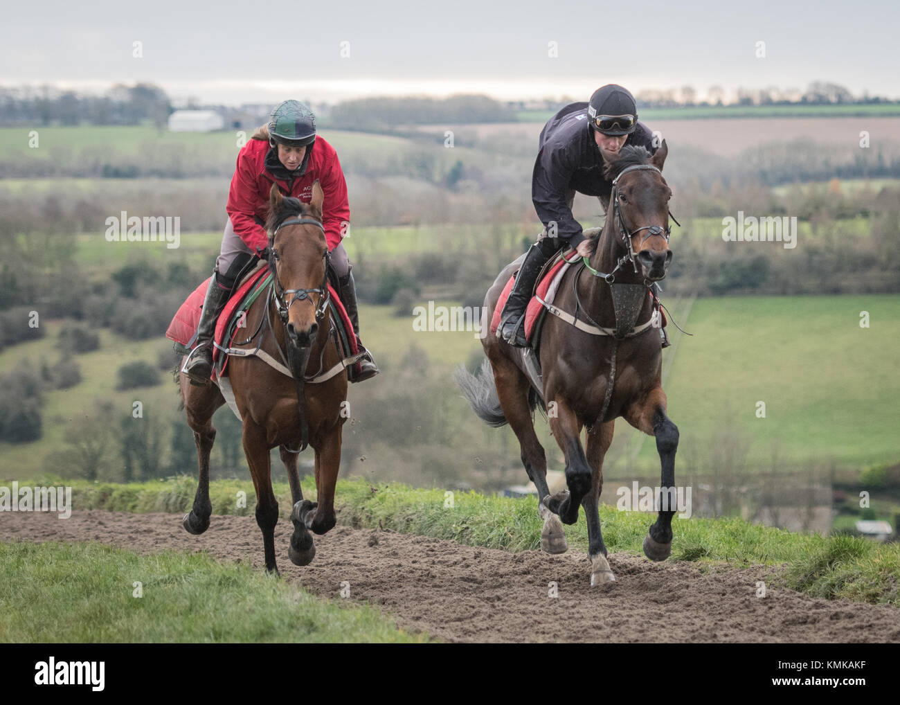 String of racehorses hi-res stock photography and images - Alamy