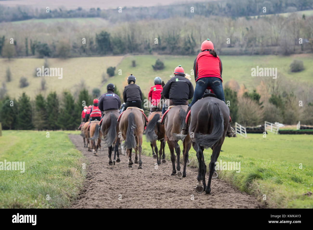 String of racehorses hi-res stock photography and images - Alamy