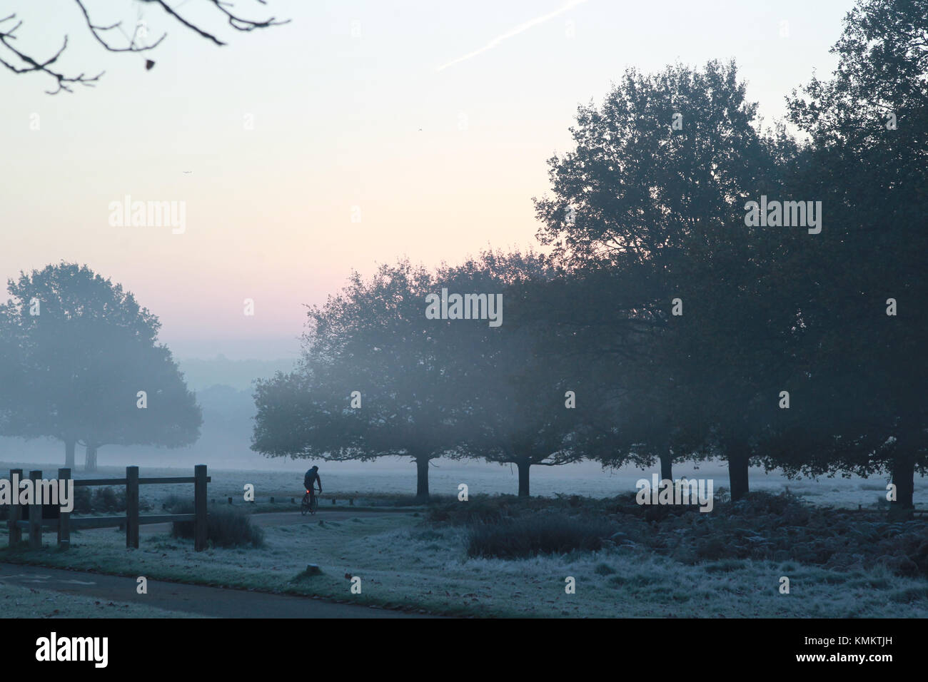 First hard frost of the Winter hits Richmond Park. Featuring ...